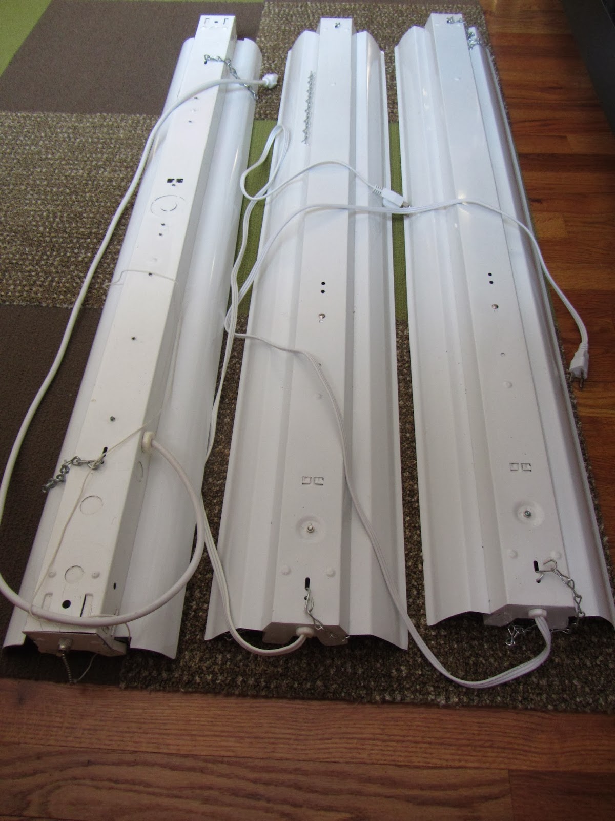 Following the Master Gardener: Indoor Seed Starting (Part 1)