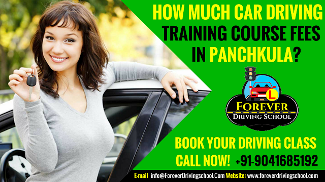 Need A Car Driving School in Panchkula?