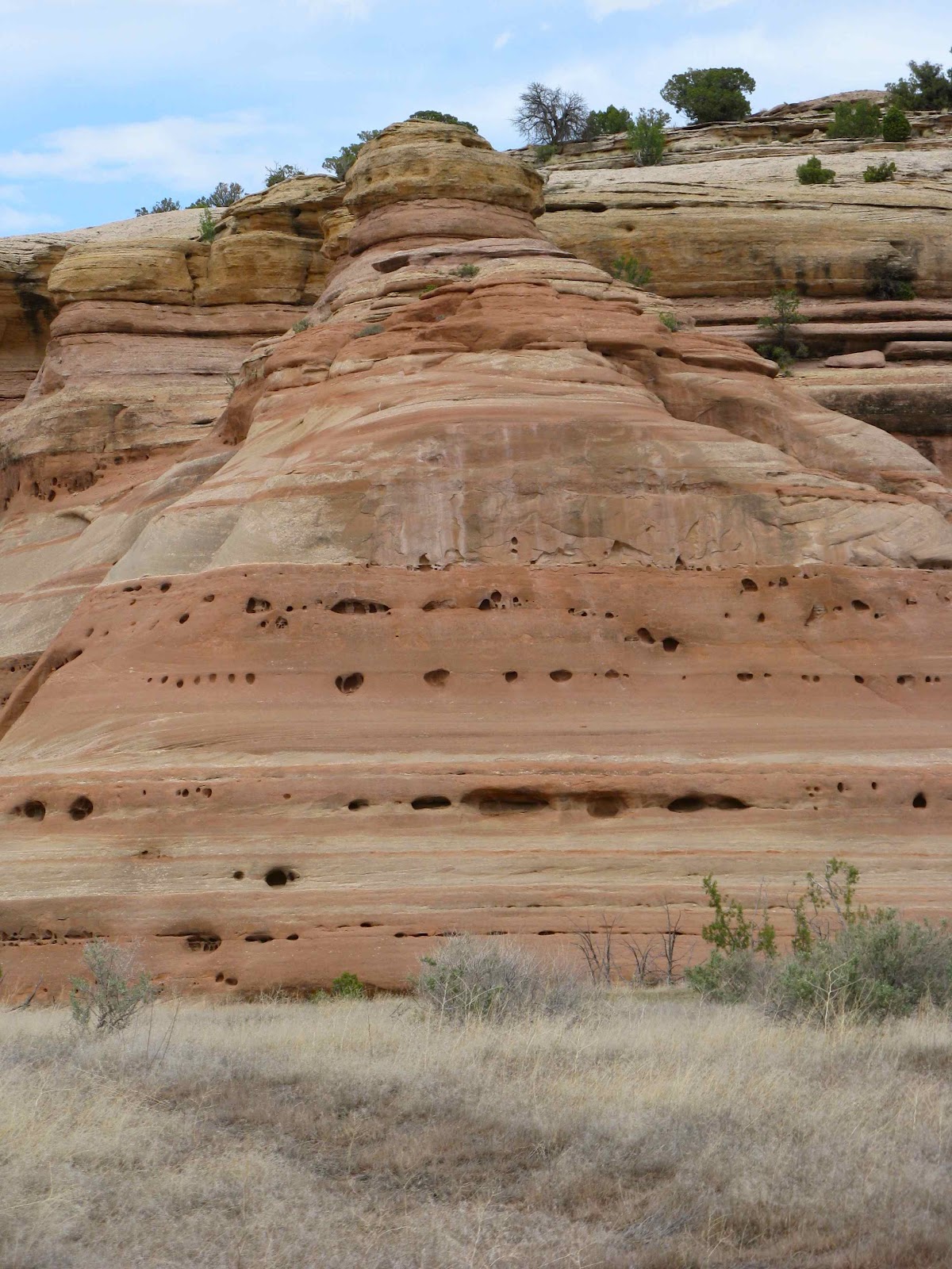 In the Company of Plants and Rocks: tafoni #1