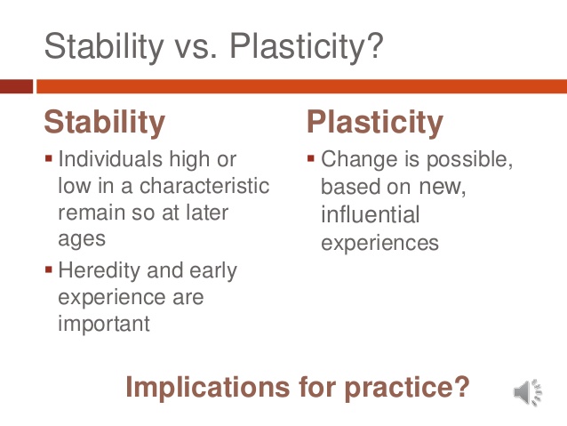 Development through time: Food for thought: STABILITY VS PLASTICITY