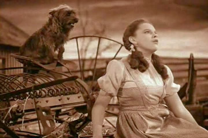 Sacrifice of Love: Not Just Tornadoes and Toto: 12 Reasons Why Wichita ...