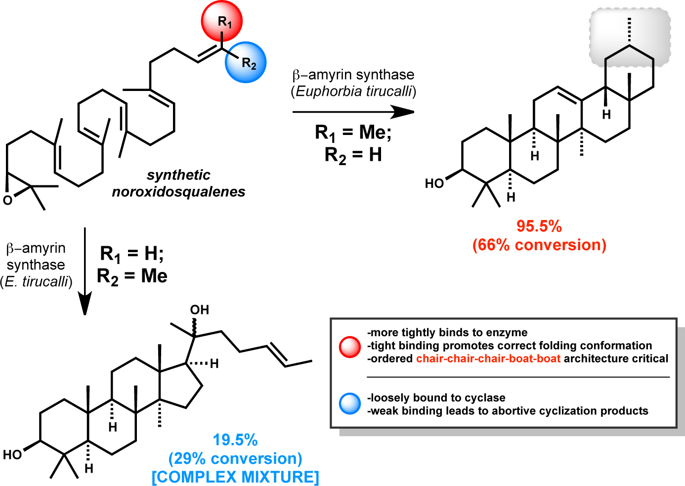 modern steroid science: Dionicio Siegel’s ‘Nonbiomimetic’ Polyene ...