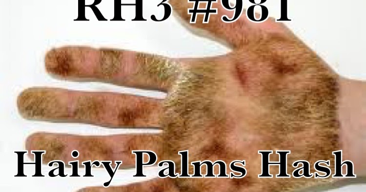 Reading Hash House Harriers: RH3 #981 Hairy Palms Hash