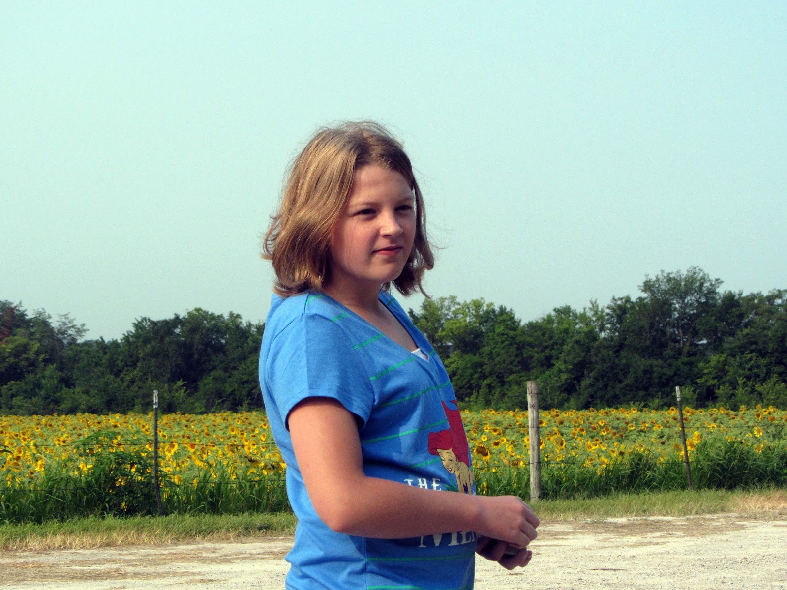 John and Sigrid's Adventures: James A Reed Wildlife Refuge Sunflowers ...