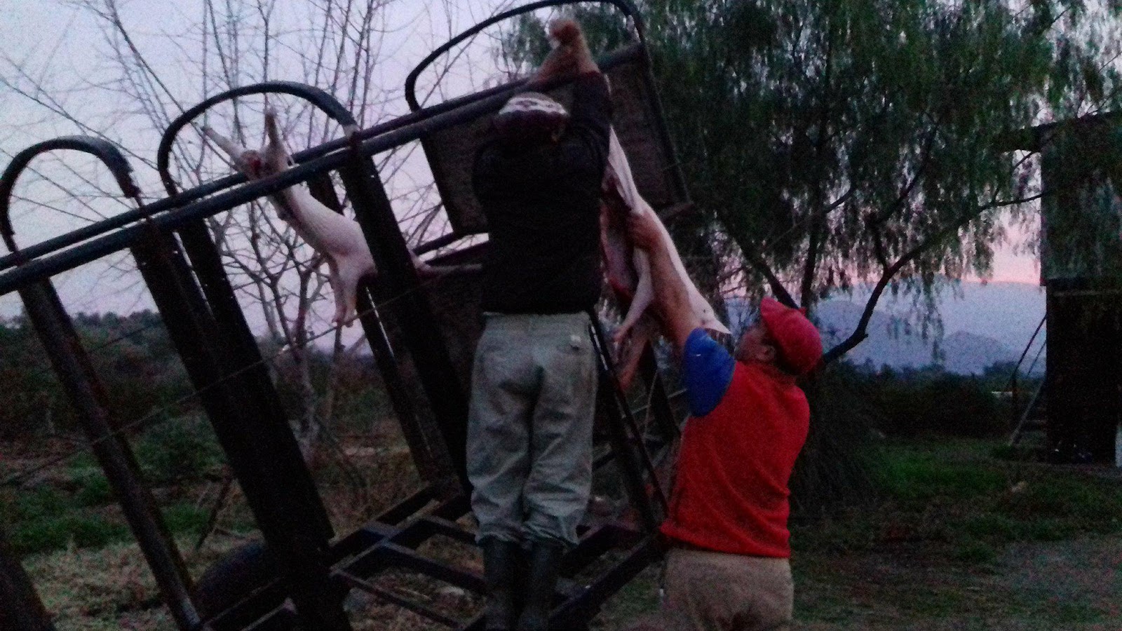 Puesto El Jarillal! | Zaz y su mochila en Argentina