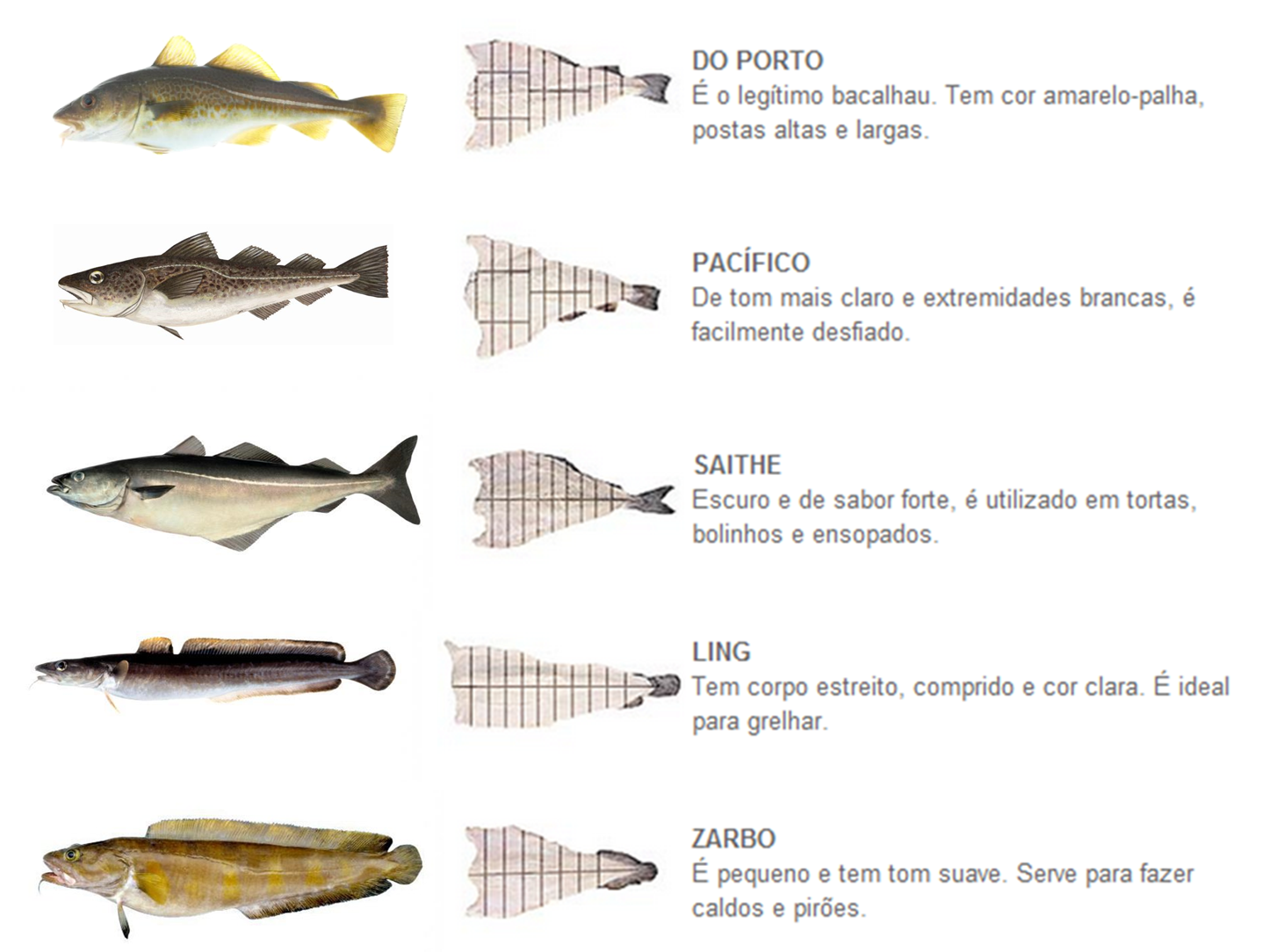 Do campo à mesa: 2013