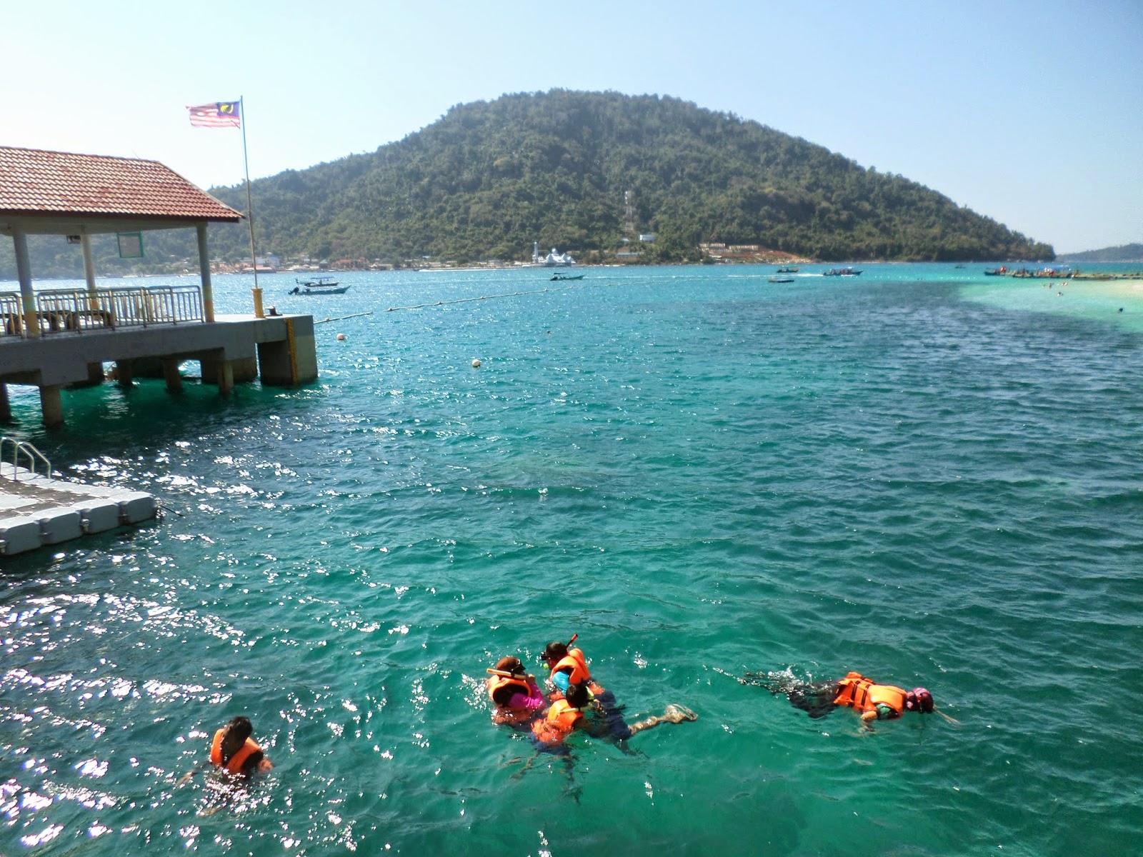 acuatic species in taman laut pulau perhentian - LianataroRosales
