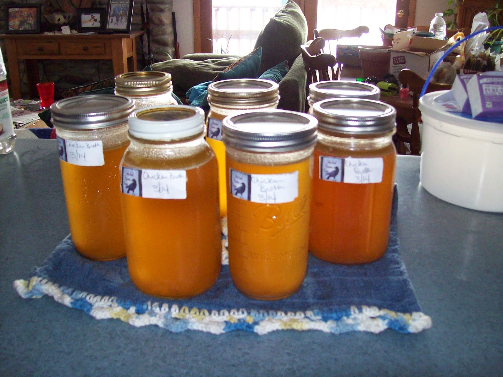 Wicked Raven Farm Blog: Chicken Bits!