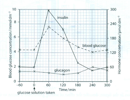 #127 Summary of Homeostasis and Co-ordination | Biology Notes for A level
