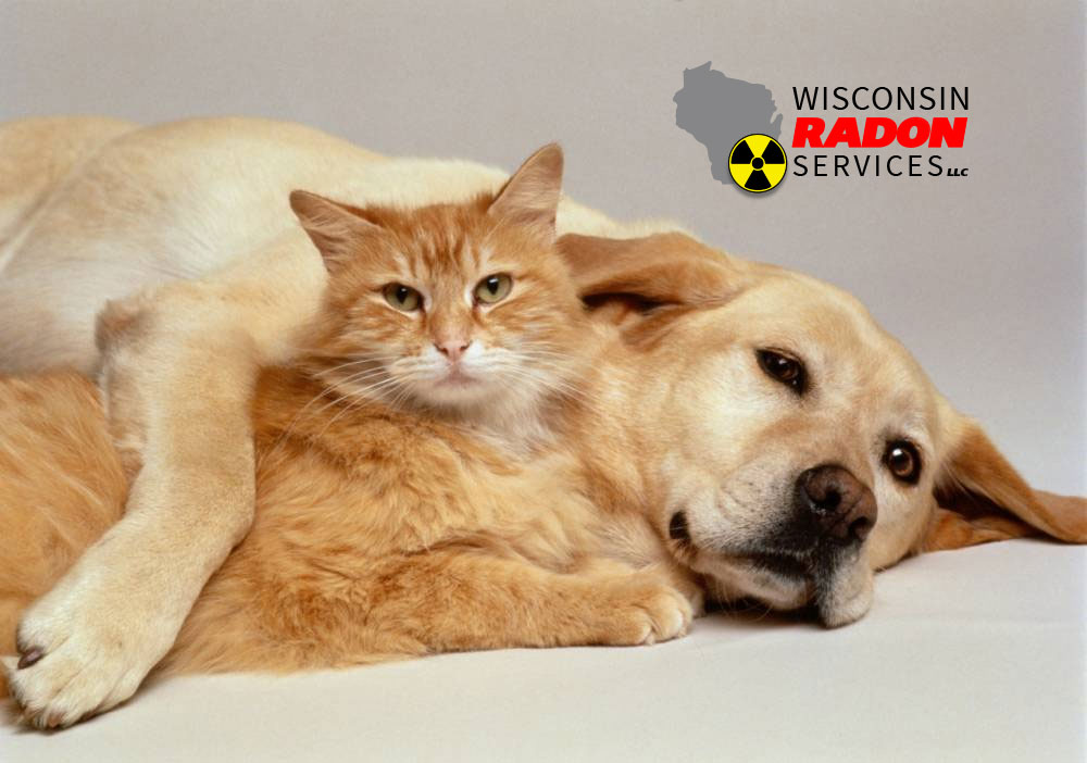 Radon Gas & Pets - MAKE SURE YOUR FURRY FRIENDS ARE PROTECTED FROM RADON