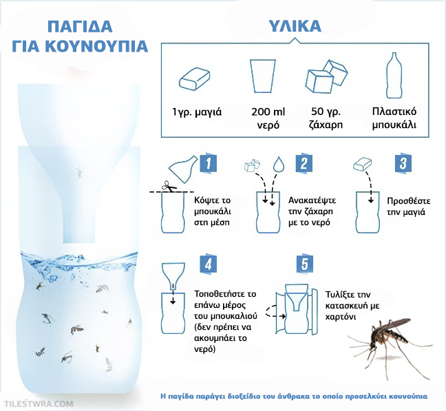 10 έξυπνα κόλπα για να καταπολεμήσετε τα κουνούπια με φυσικό τρόπο