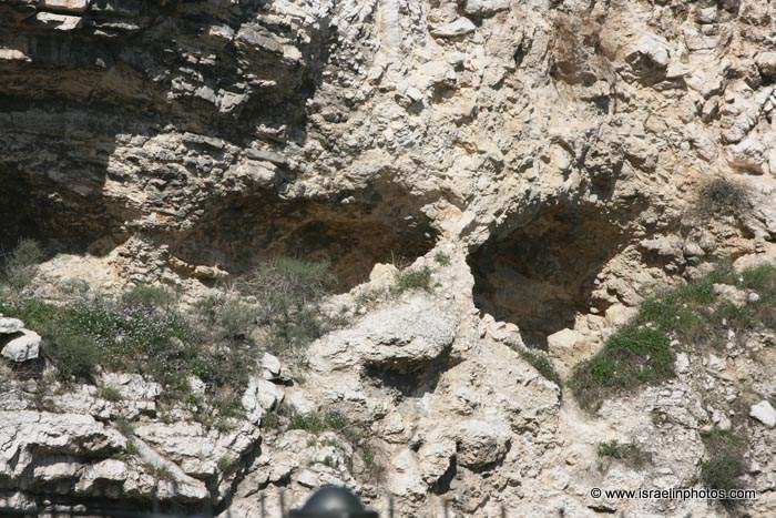 Travel | Flowers in Israel