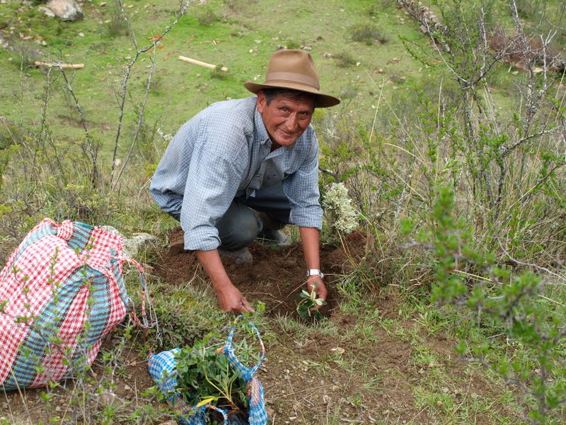 Imagenes de un campesino - Imagui