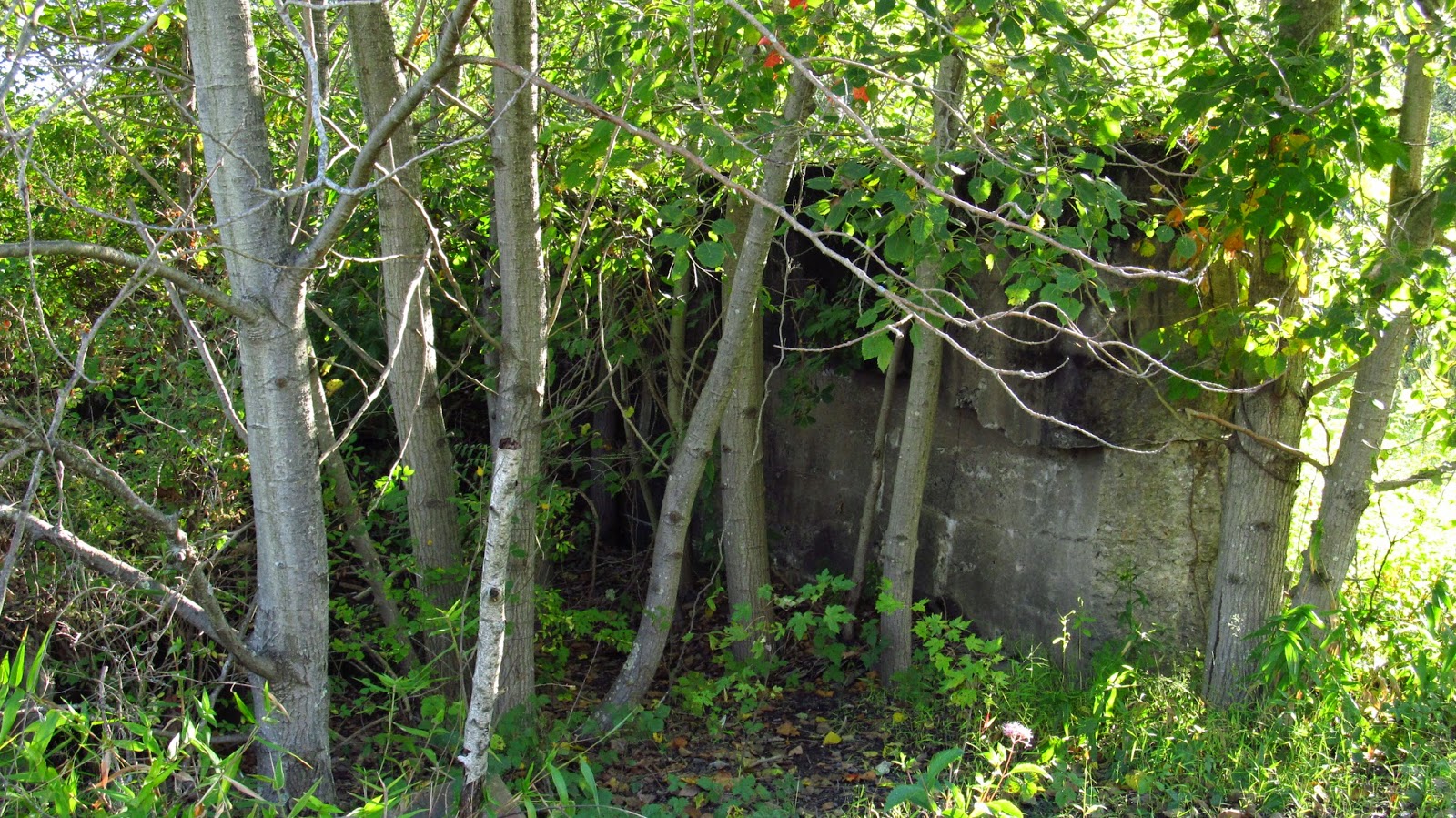 Old Industry of Southwestern Pennsylvania : Sewickley Branch Of The ...