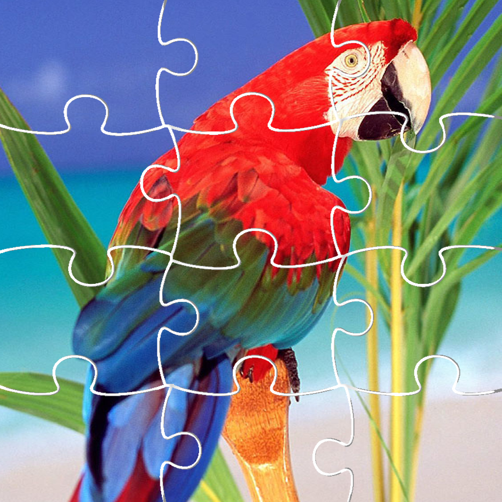 Jigsaw Puzzle Parrot Games Educational Free