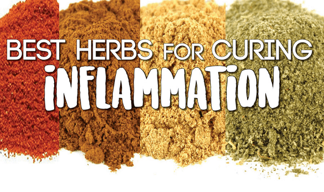 Best Herbs for Curing Inflammation Fast #Infographic - Visualistan