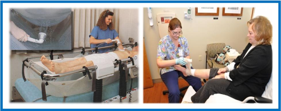 Myra Estrin Levine: Levine's point (Major & Key Concepts)