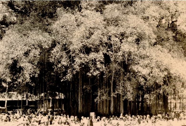 Tapanuli Selatan Dalam Angka: Sejarah Kota Medan (13): Kerajaan Aru di ...