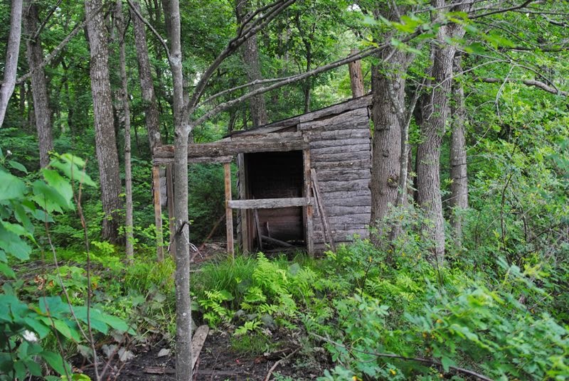 Southeastern PA Hiking: Lake Towhee County Park