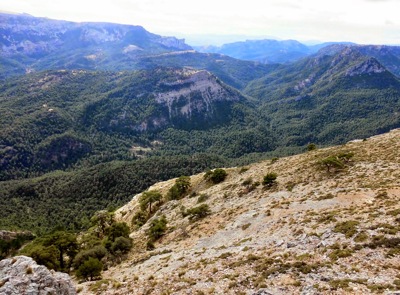 Club de Senderismo Los Escuderos de Rus (Jaen): PEDREGOSO, LOS ...