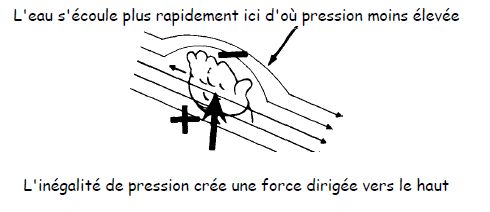 La portance - LA NATATION