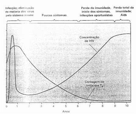 Liga Universitária de Imunologia: Você sabe como o HIV leva à Aids?