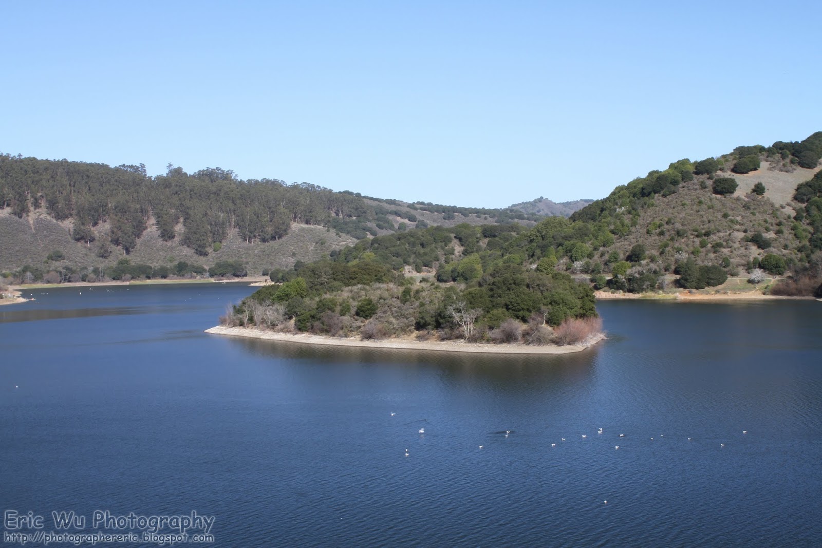 Naturetastic Blog: Lake Chabot Regional Park