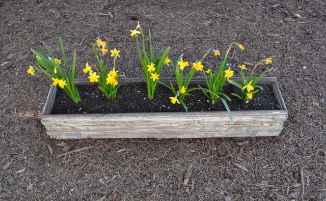 DIY Rustic Wood Planter Box - Make Life Lovely