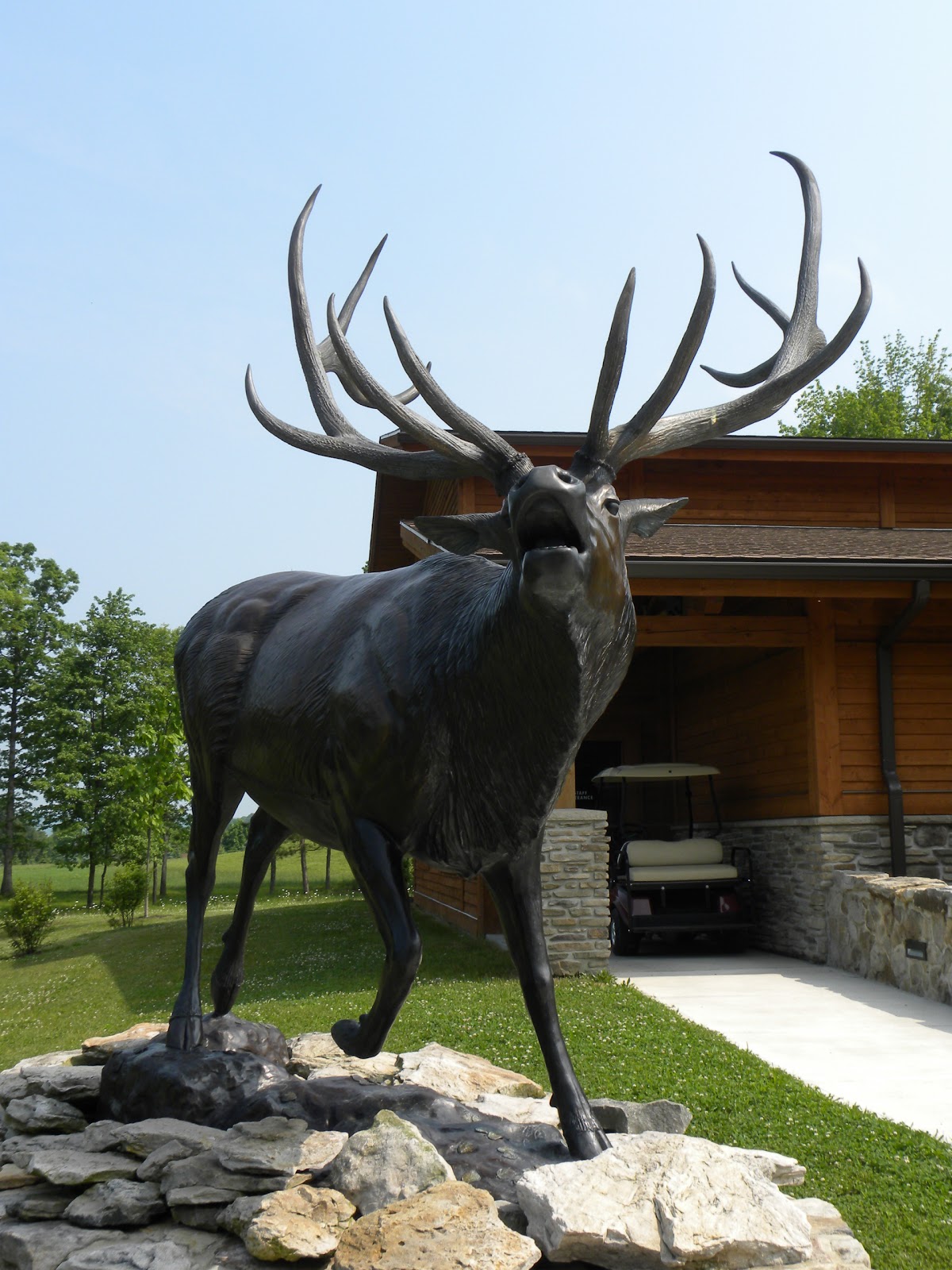 Zoo Tails: Elk Country Visitor Center Review