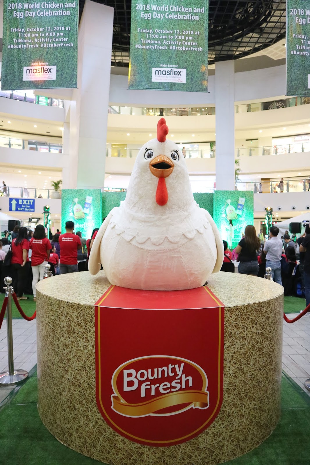 World Chicken and Egg Day with Bounty Fresh! - ARTSY FARTSY AVA