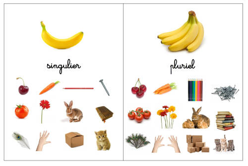Crapouillotage: SINGULIER ou PLURIEL