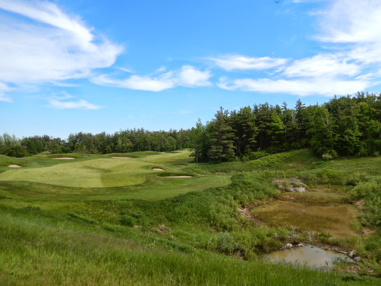 Golf Courses: Eagle's Nest Golf Club