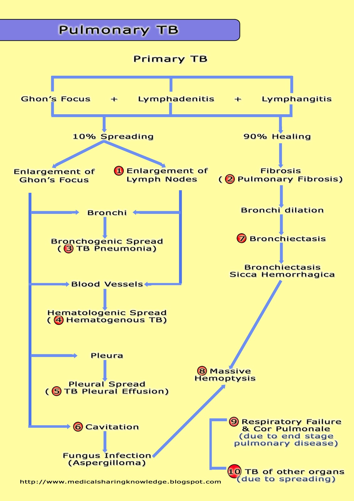 Complication & Sequelae of Pulmonary TB - Dunia Perubatan