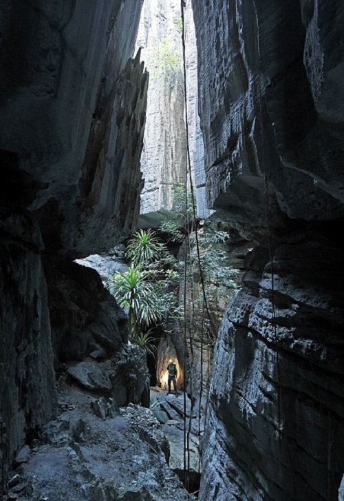 Suitcase and World: Madagascar's Stone Forest. Tsingy de Bemaraha.