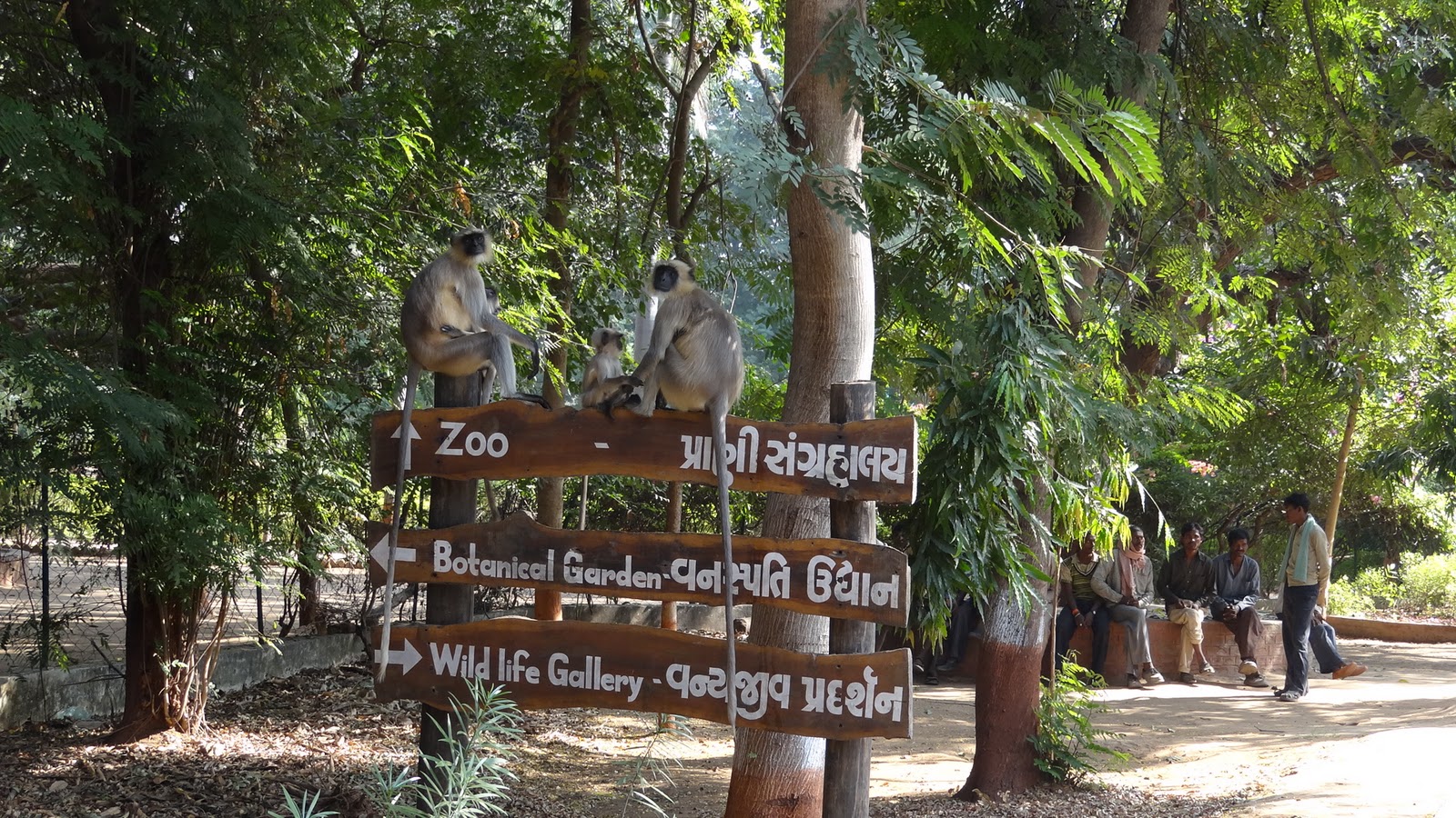 My Photography: Indroda Nature Park