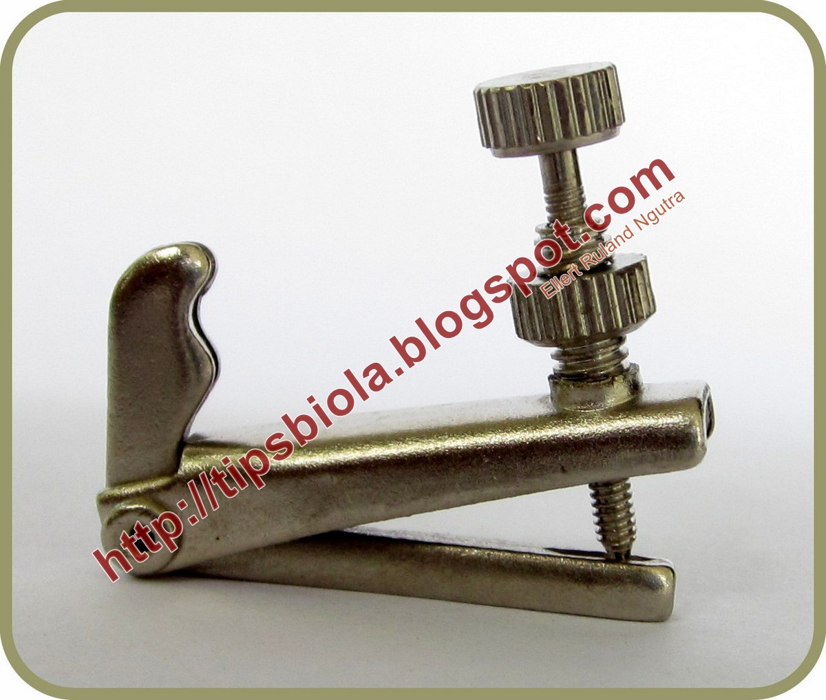 Tips Biola: Suku Cadang Dan Aksesori Biola Yang Dapat Diganti