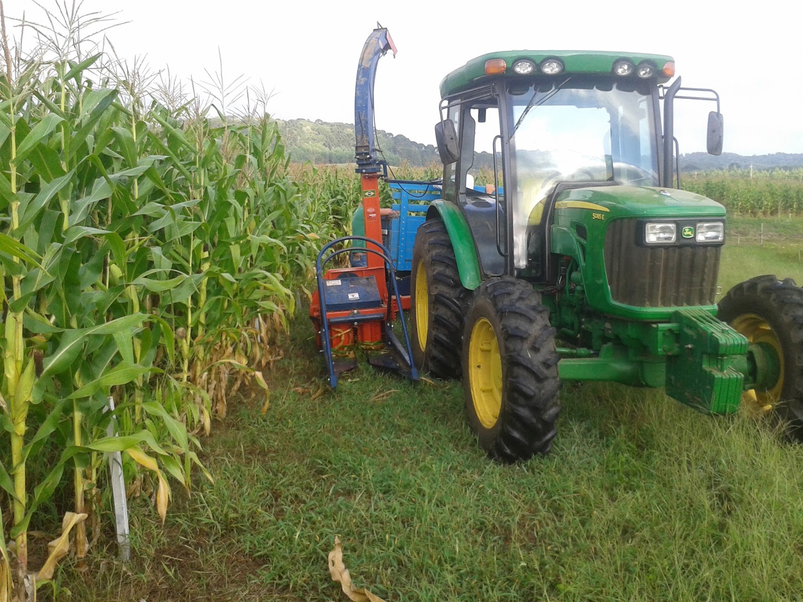 AGRONOMIA: Conheça as disciplinas do curso universitário | Profissão Certa