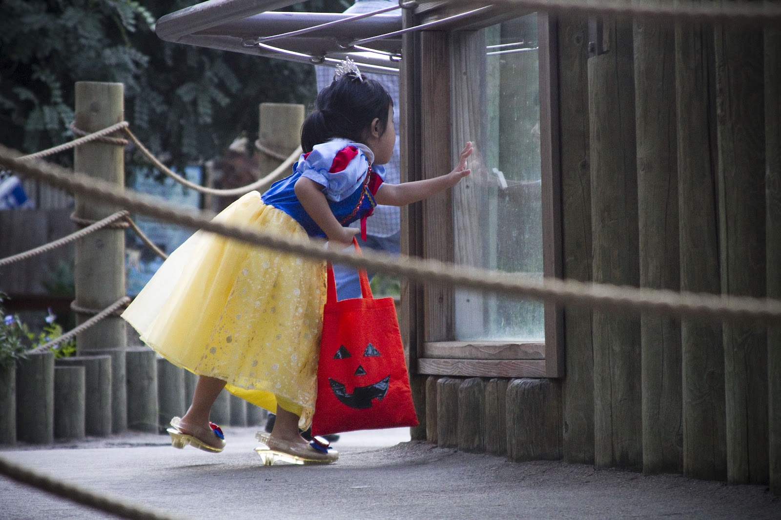 Fresno Chaffee Zoo: ZooBoo!