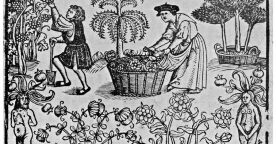 Ecocriticism and Medieval England: Herbal Remedy for Disease in ...