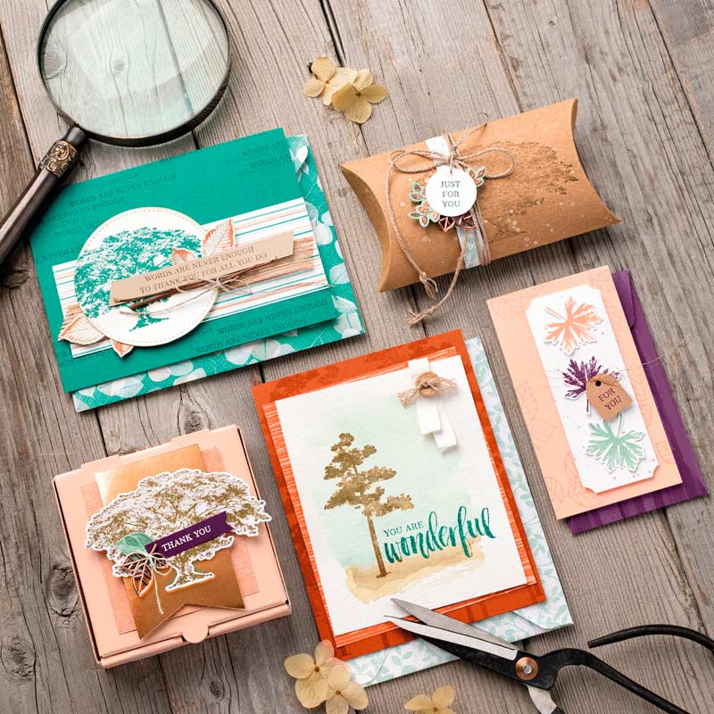 Julie's Stamping Spot -- Stampin' Up! Project Ideas by Julie Davison ...