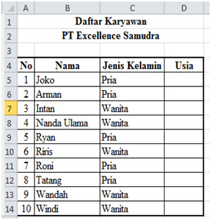 Membuat validasi Dengan Data Entry di Excel 2010 | IQRoe