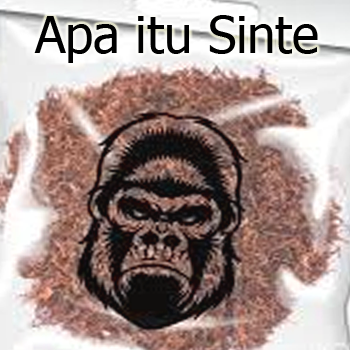 Pengertian Sinte dan Efek Bahayanya Bagi Kesehatan