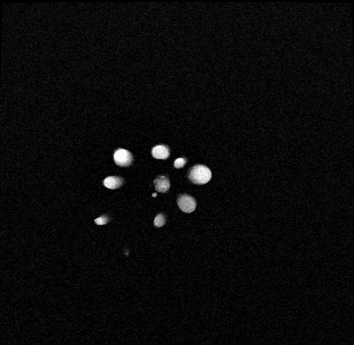 Inside Insides: 2013