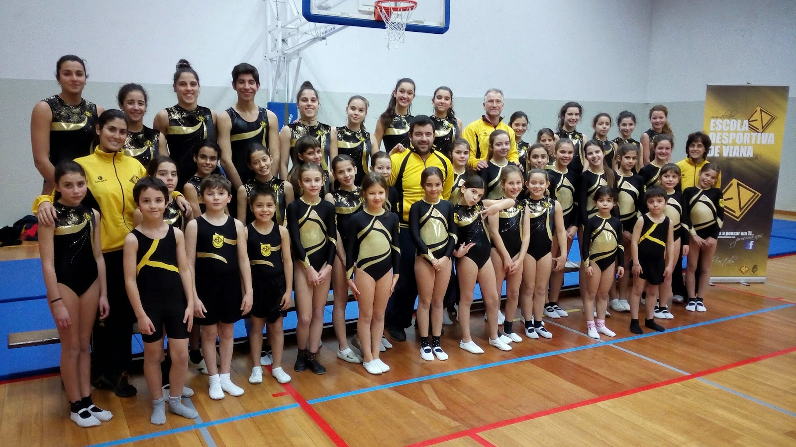 ESCOLA DESPORTIVA DE VIANA: Ginástica: Boas pontuações no Campeonato ...