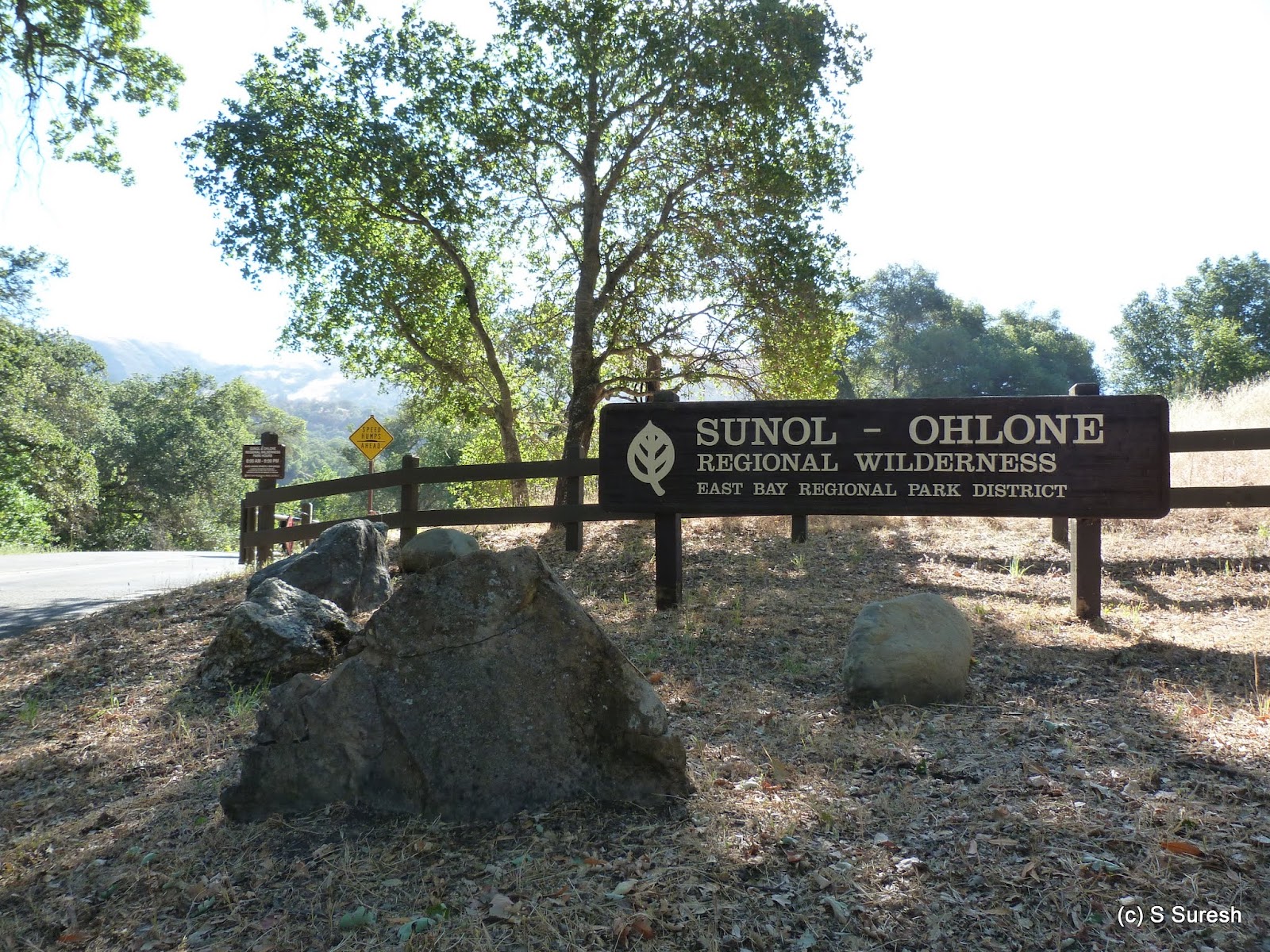 Dog Friendly Hikes: Sunol Regional Wilderness (Little Yosemite) 2015-06-23