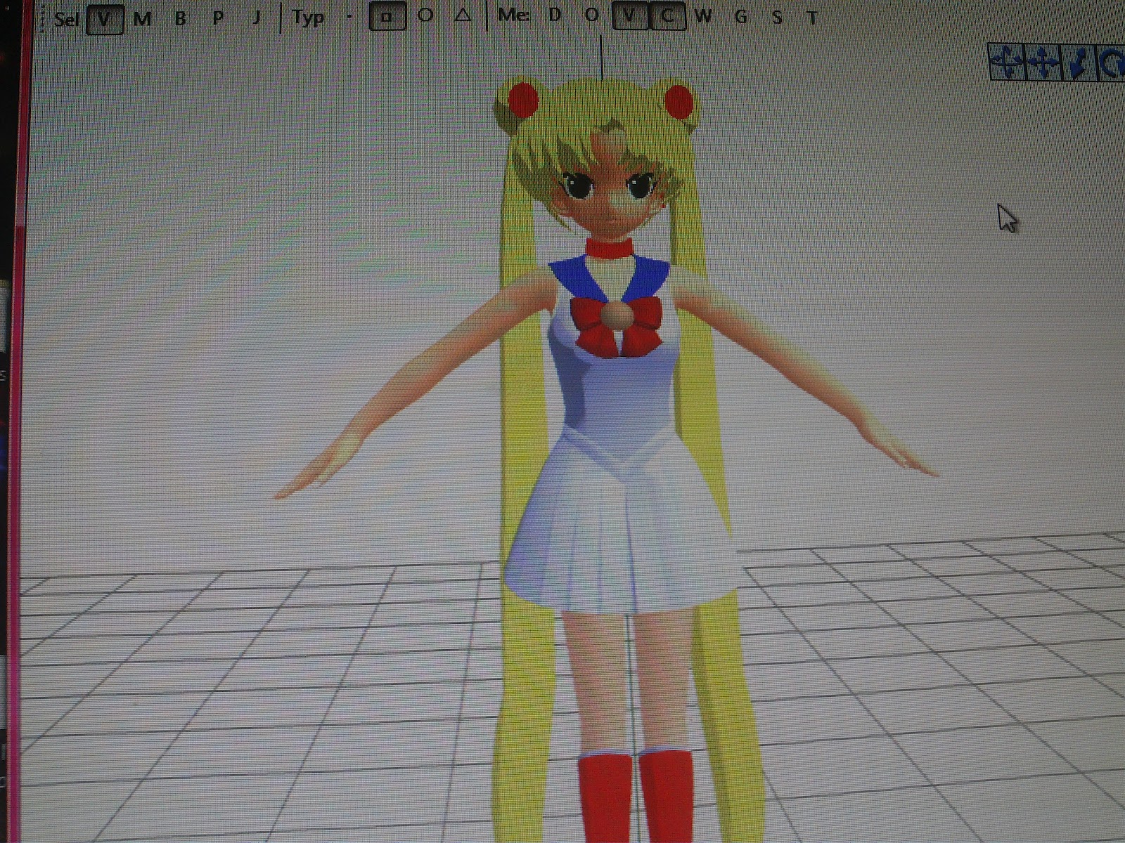 Models: Sailor Moon
