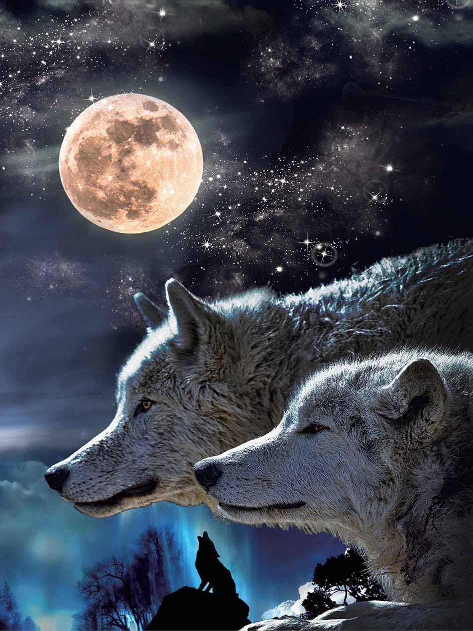 ShapeShifter Seduction: Wolf Moon, the Sacred Howls of 2020