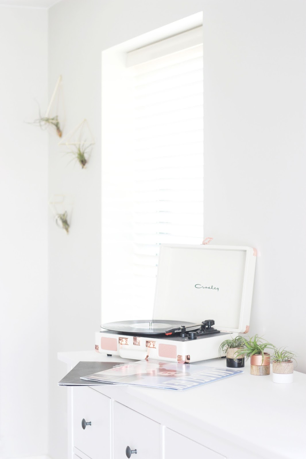 Adding Greenery To Your Home | Pint Sized Beauty