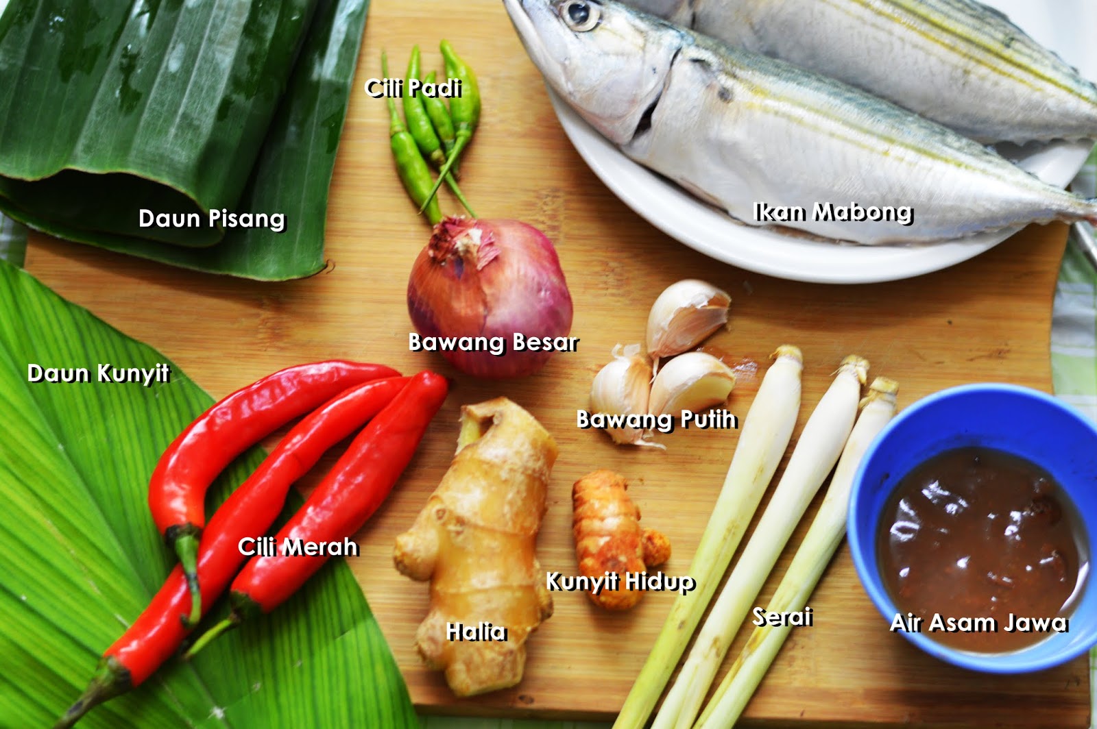 Masak Resipi Pais Ikan Mabong Lebih Mudah Dengan Pensonic Stimbot & BBQ ...