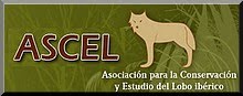 AMIGO LOBO: Blog lobero de Carlos Sanz: EL IV ENCUENTRO DE LA RED ...